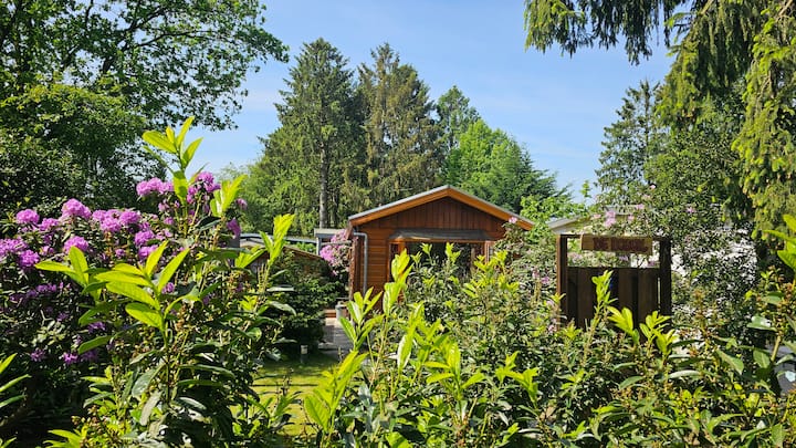 De Bosuil, Voor Rustzoekers En Natuurliefhebbers! - Netherlands