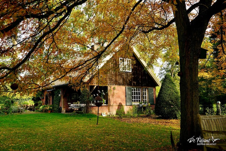 De Fazant Is Een Vrijstaand Huis In De Natuur. - Lochem