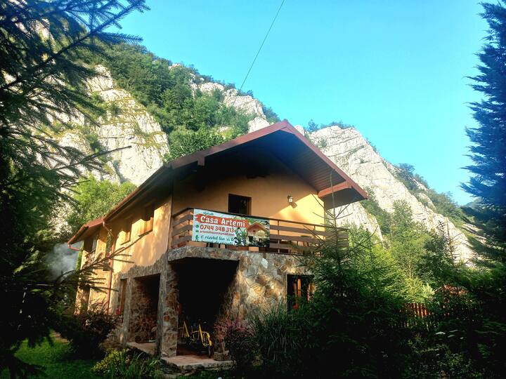 Casa Artemi - Casă De Vacanță Cu Ciubăr, Remeți-bh - Șuncuiuș