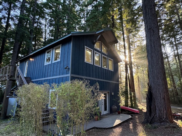 Forager's Haven: A Treetop Escape - Gualala, CA