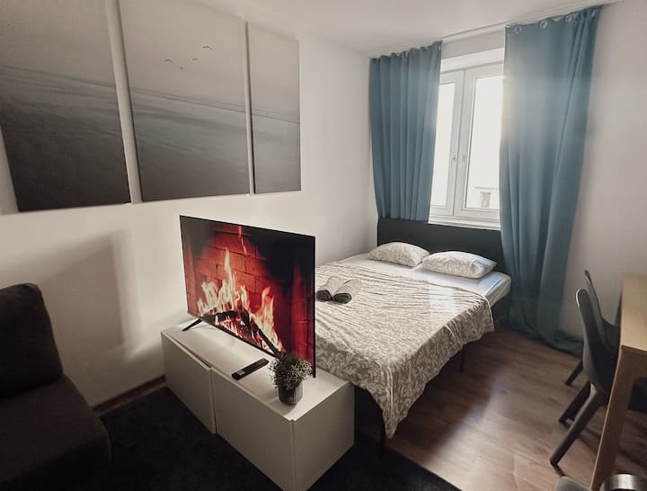 Spacious 3rooms Flat Near Messe Prater & Old City! - Viena