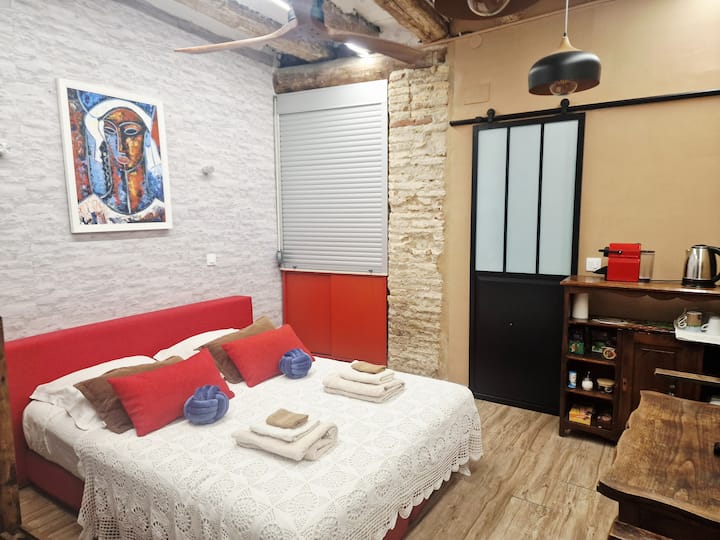 Salle De Bain Privée. Entrée  Indépendante. Centre - Zaragoza