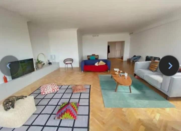 Big Room In 160 M2 Appartement - Anderlecht
