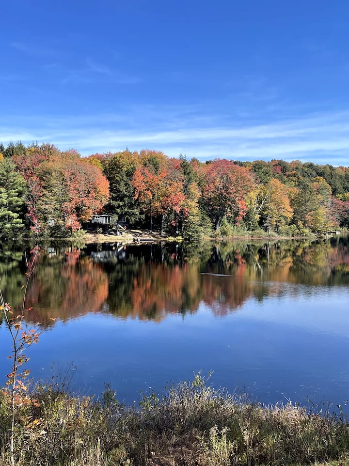 Year Round Lakefront Cottage - Bracebridge