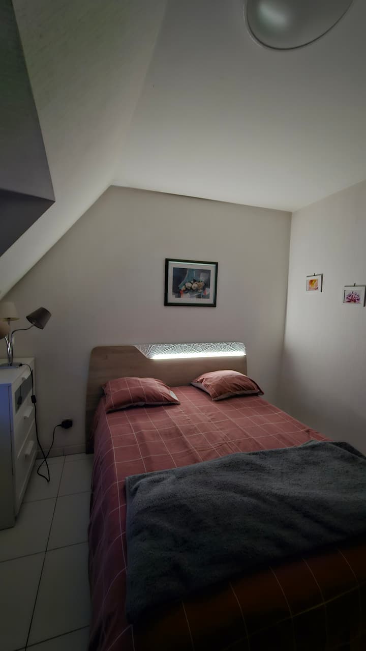 Appartement Au Cœur De Colmar - Colmar