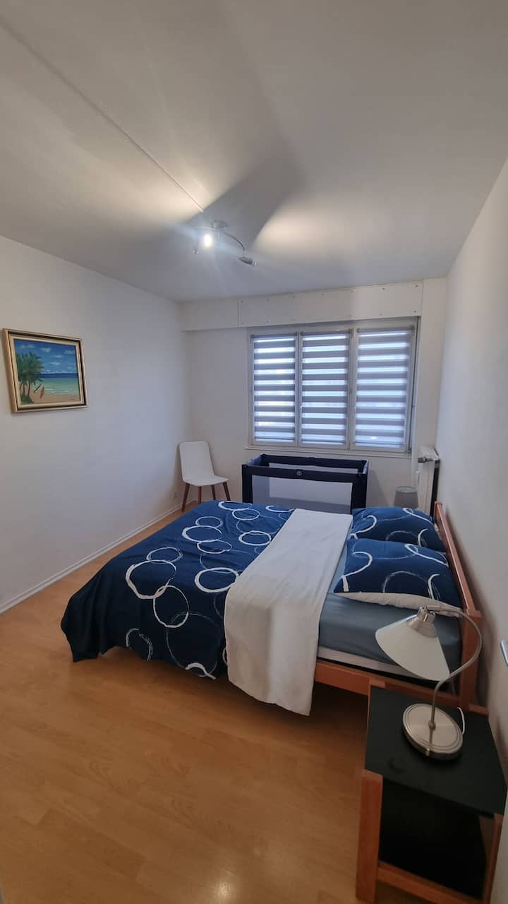 Appartement Spacieux Et Cosy Comme Chez Soi - Strasbourg
