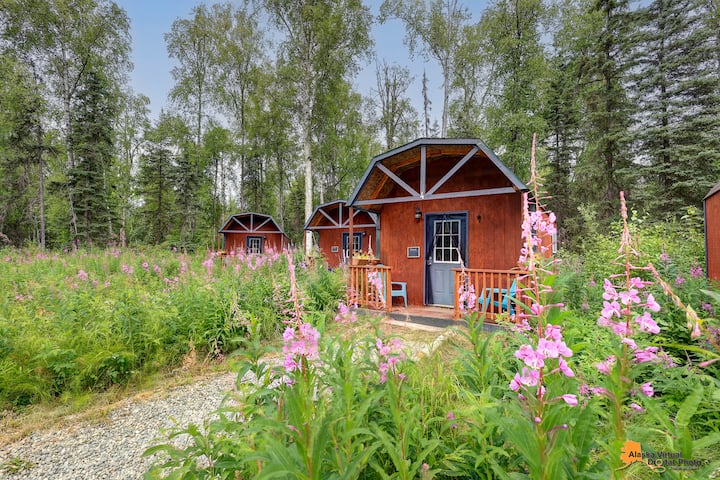 Cute Cabin In The Woods - Talkeetna, AK