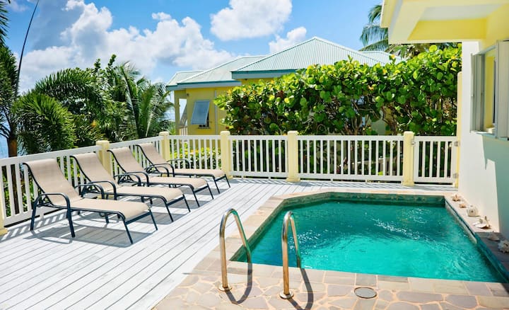 Calypso Rhythyms - Saint Kitts en Nevis