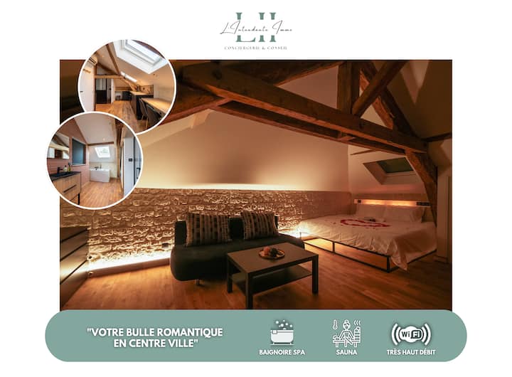 Evasion Chic, Spa Et Sauna Sous Les Toits - Nancy