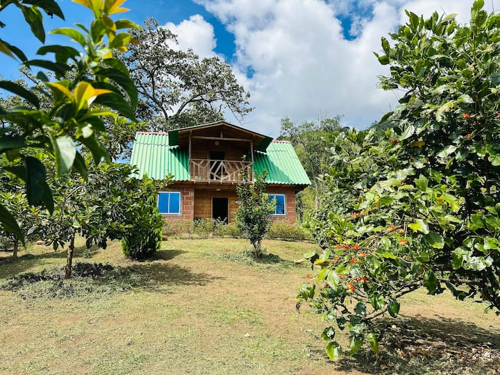 Cabaña Jade Diseñada Para Que Disfrute En Familia. - Andes