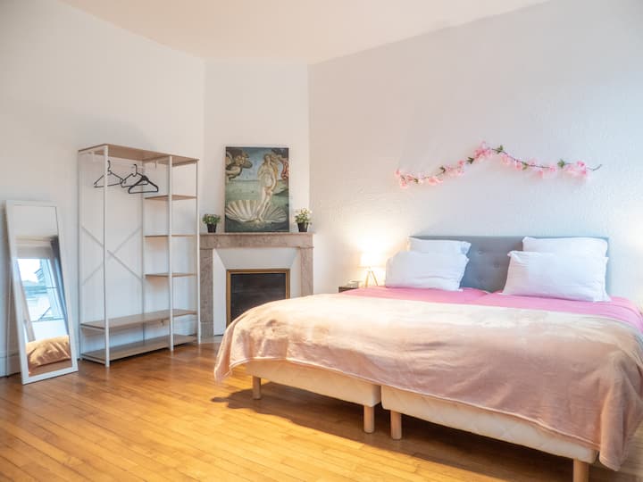 Cosyconfort F3 70m² Central Wifi+ Netflixprimevide - Meuse