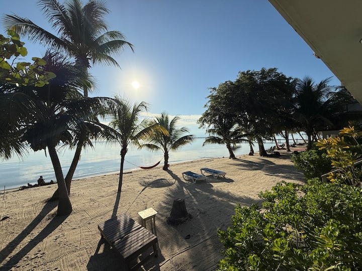 Beachfront Private Suite In The Coconut Trees - 벨리즈