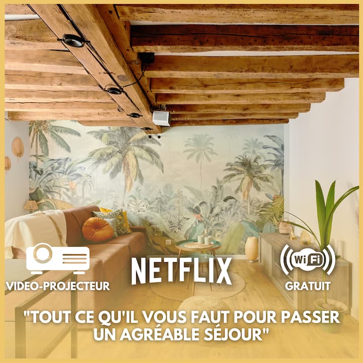 Le Petit Collégiale Saint André · Expérience Cinéma, Calme Et Cosy - 沙特爾