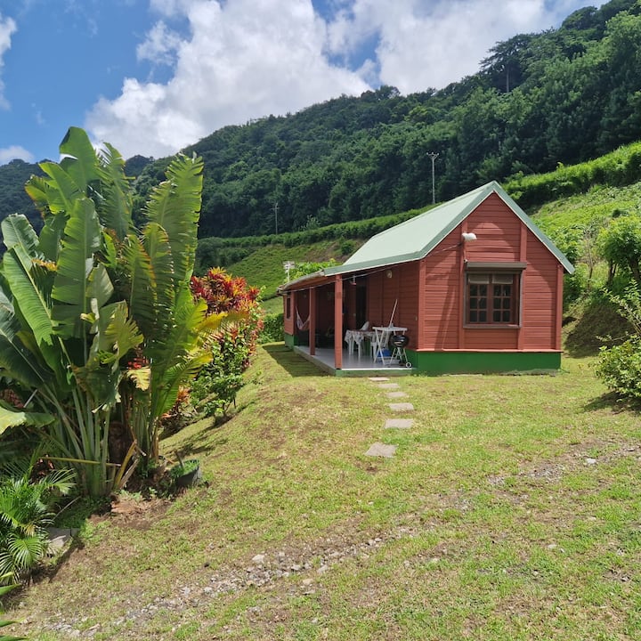 Le P'ti Paradis " Citronnelle" - Le Prêcheur