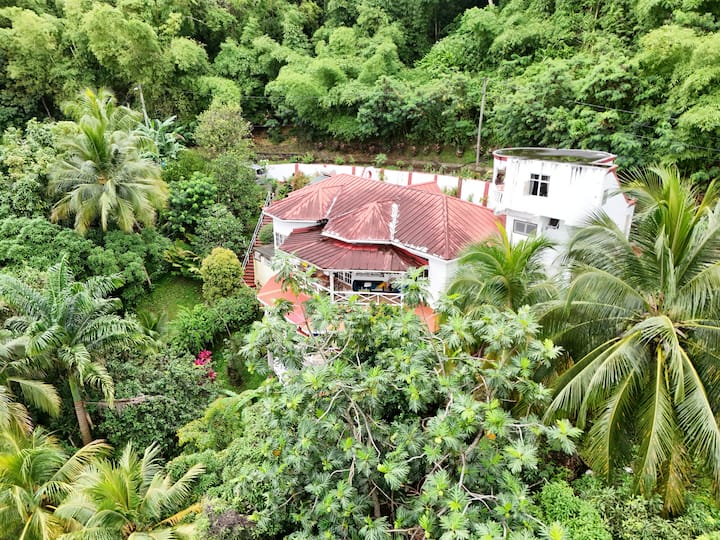 Tropical Hillside Apartment - St. George’s Grenada - グレナダ