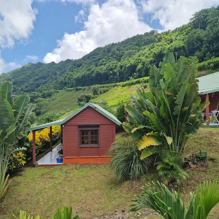 Le P'ti Paradis "Basilic" - Martinique