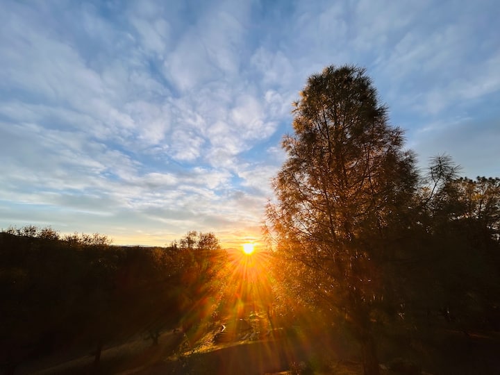 Architect-designed Yosemite Home • Deck Sunrises - Groveland, CA