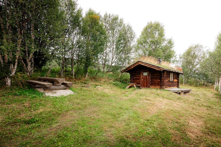 Enkel Og Trivelig Hytte I Vakker Natur - Tolga