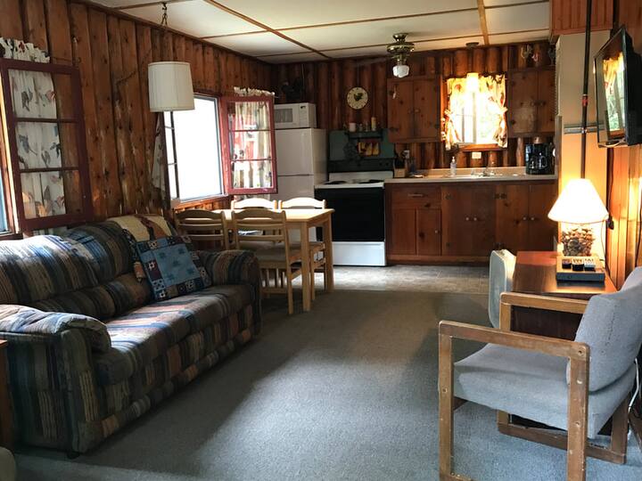 1. Cozy Waterfront Cabin At Cedars Resort - Torch Lake, MI