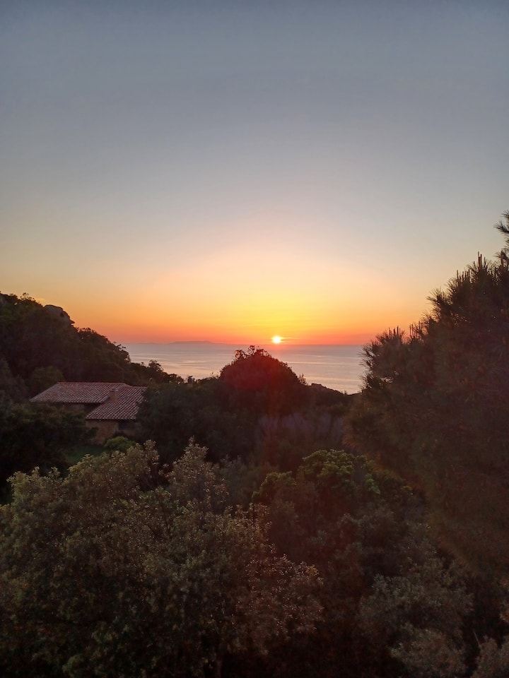 Villa Con Bosco Privato E Vista Mare Con Tramonto - Costa Paradiso