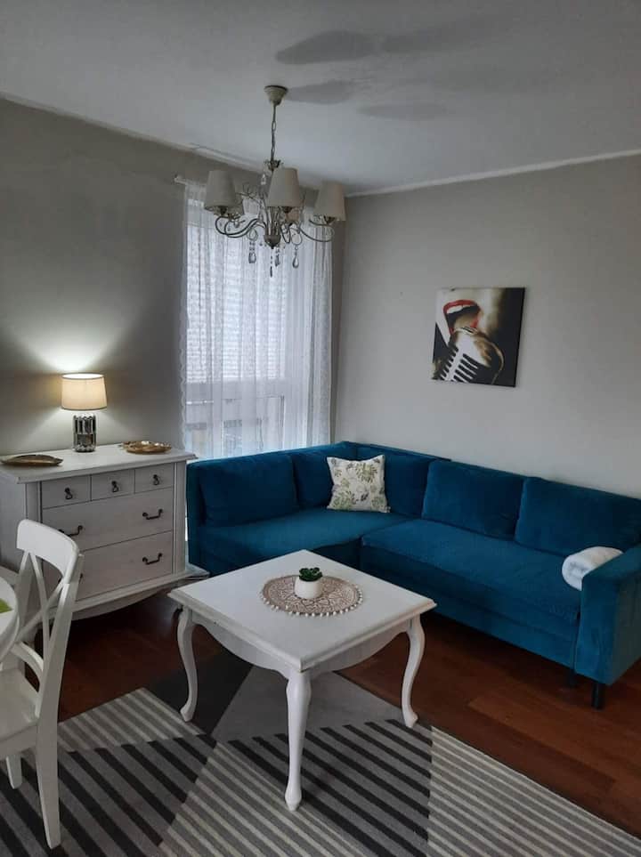 Spacious Cozy 3-room Apartment Close To Citycenter - Łódź