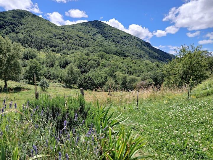 Loft Lumineux Sur Vue Montagne Et Pleine Nature - Aude