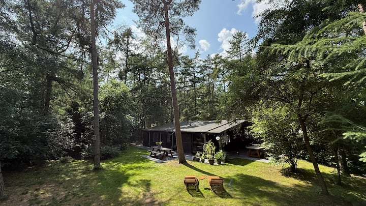 Ruime Bungalow In Het Bos - Ommen