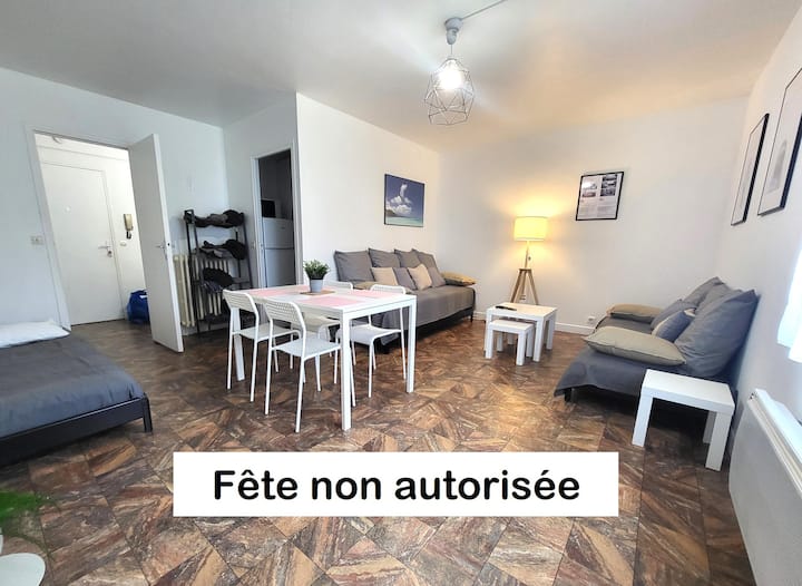 P1 Grand Studio Avec 4 Lits + Parking Privé - Ibis Budget Versailles Coignieres