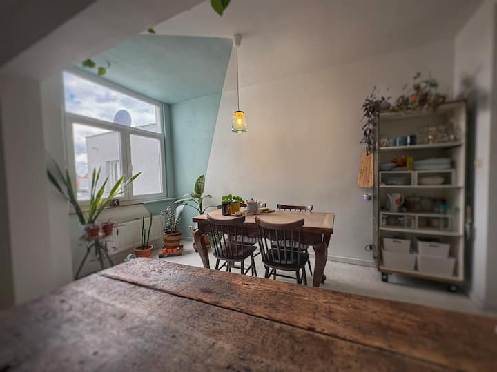 Cozy, Bright Apartment With A Vintage Touch - Antwerp