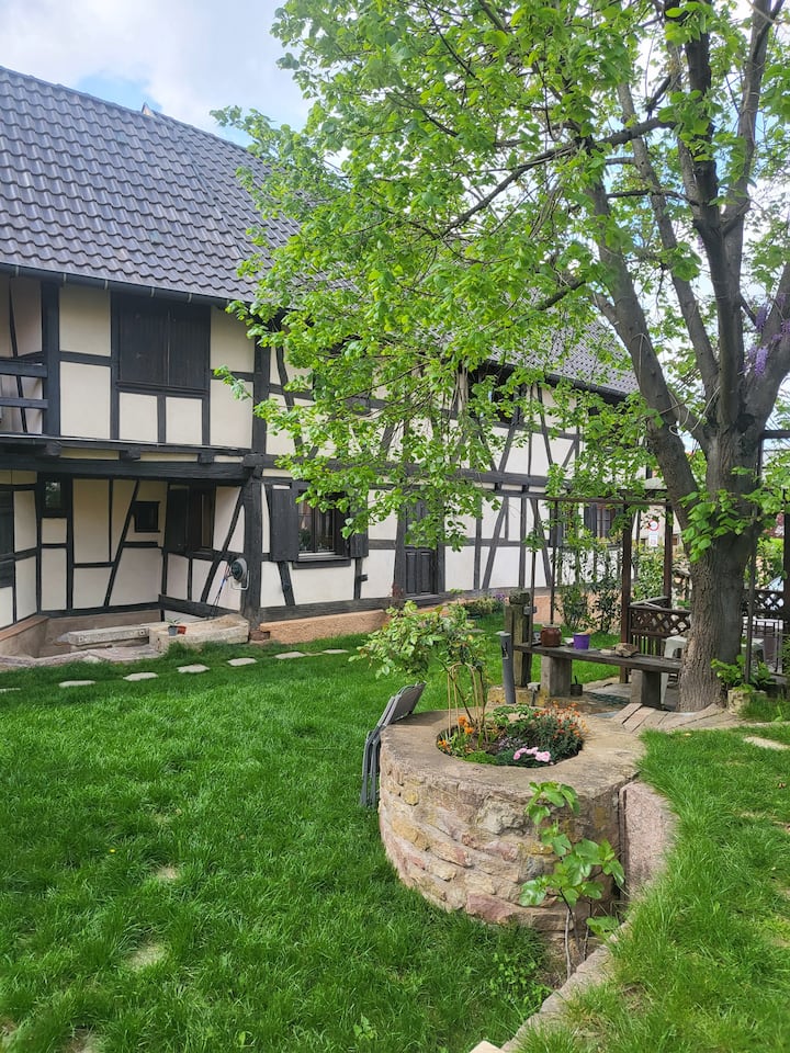 Maison Alsacienne De Charme Dans Cadre Arboré - Alzacja