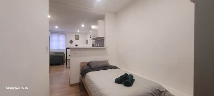 Studio Petit Battant *Wifi/supercentre* Très Calme - Besançon