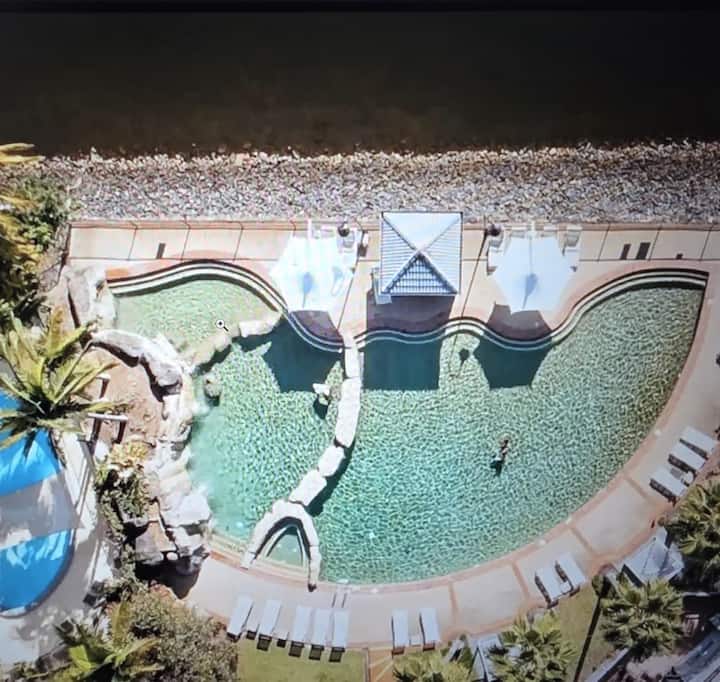 Sand Dollar - Gold Coast