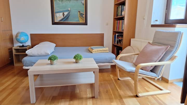 Cozy Loft Studio - Флорина