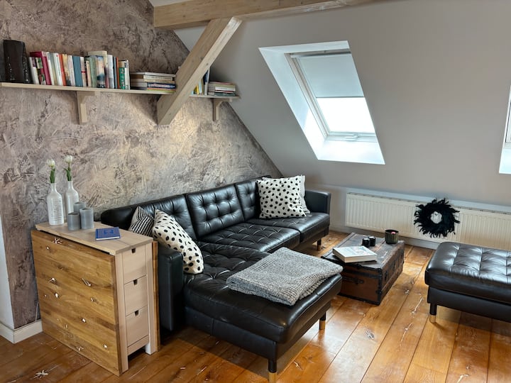 Wohlfühl Apartment Herderplatz Mit Dachterrasse - Weimar