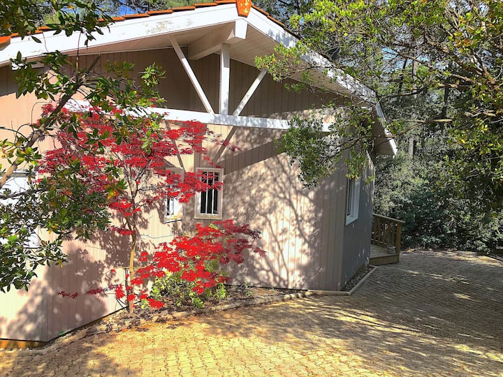 Charmante Villa En Bois Sur Pilotis - Lacanau