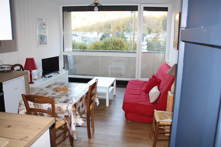 Mont Dore, Appartement 31/ 2 à 4 Personnes - Mont-Dore