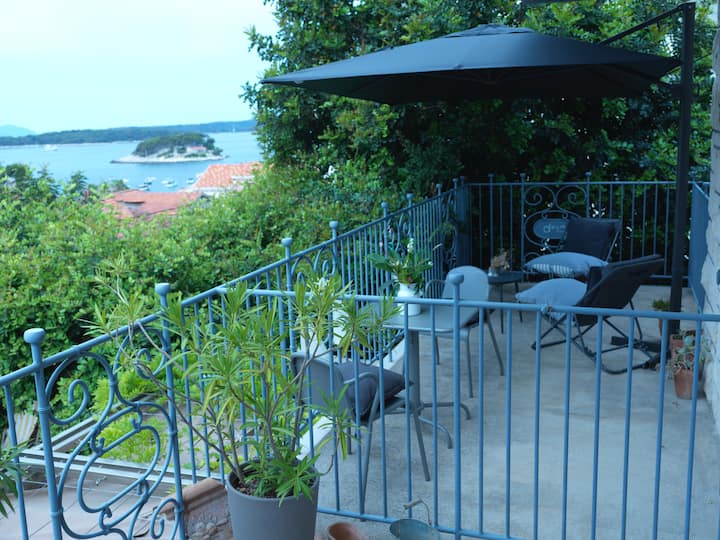 Carrubo-johannesbrød (Hvar City) - Hvar