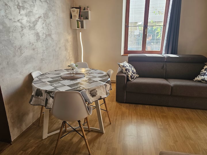Appartement Cosy Strasbourg - Estrasburgo
