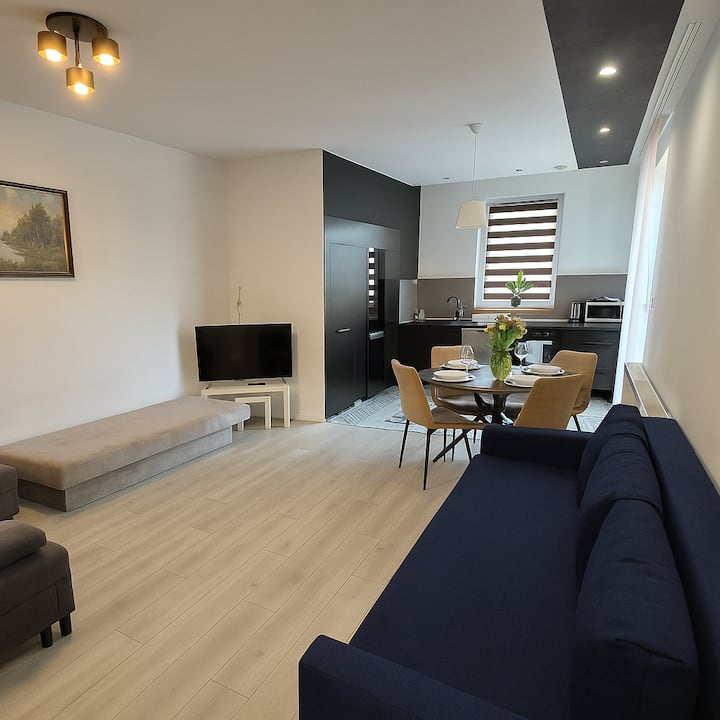 03 Katowice Centrum - 6 Osób 2 Pokoje Wi-fi Tv - Katowice