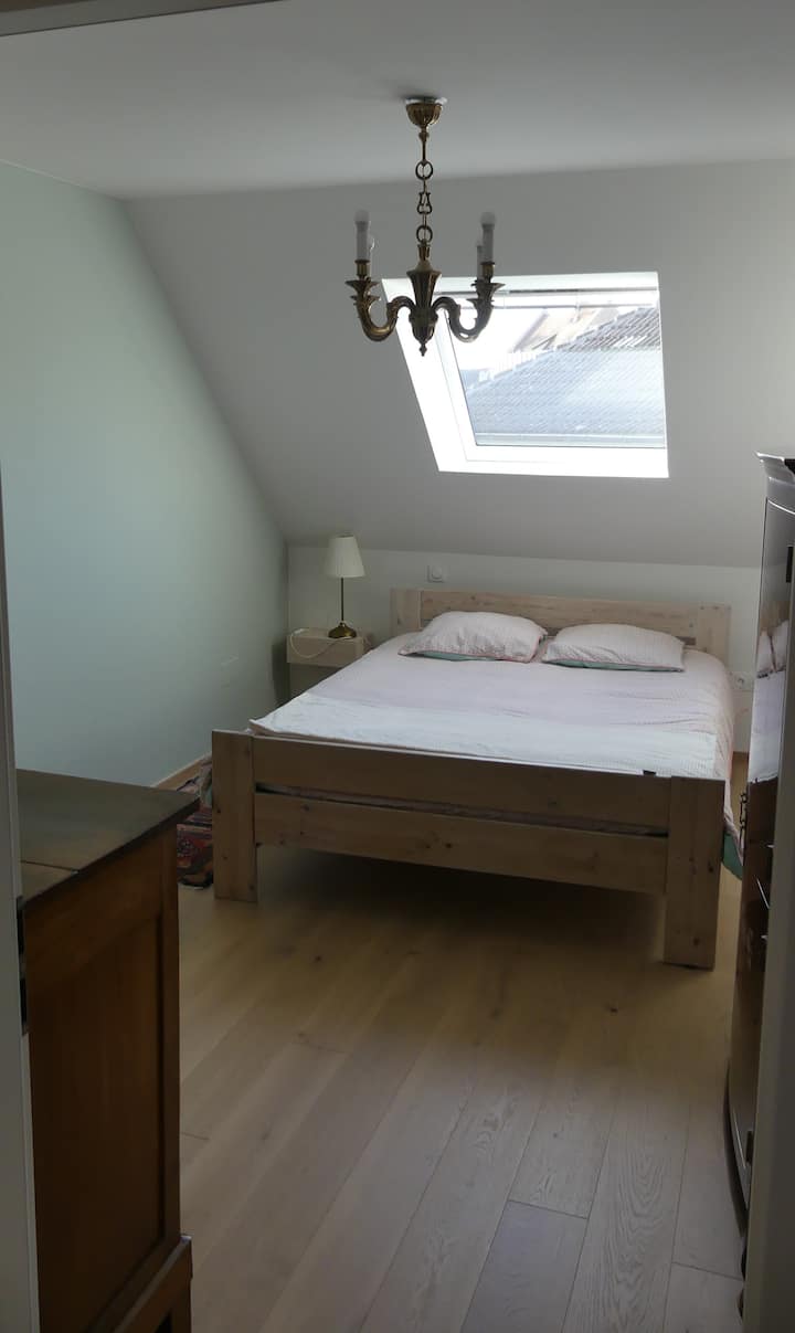 Belle Chambre Avec Salle De Bains Privative - Strasbourg