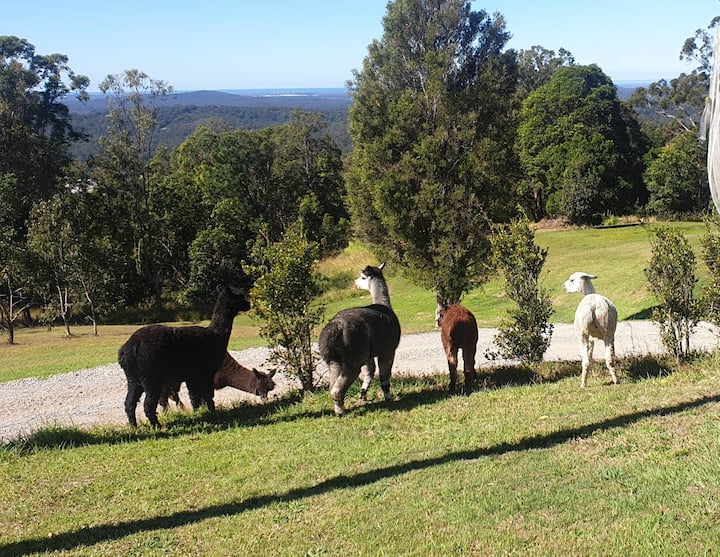 Lumina Guesthouse
Restore Your Inner Light. - Queensland