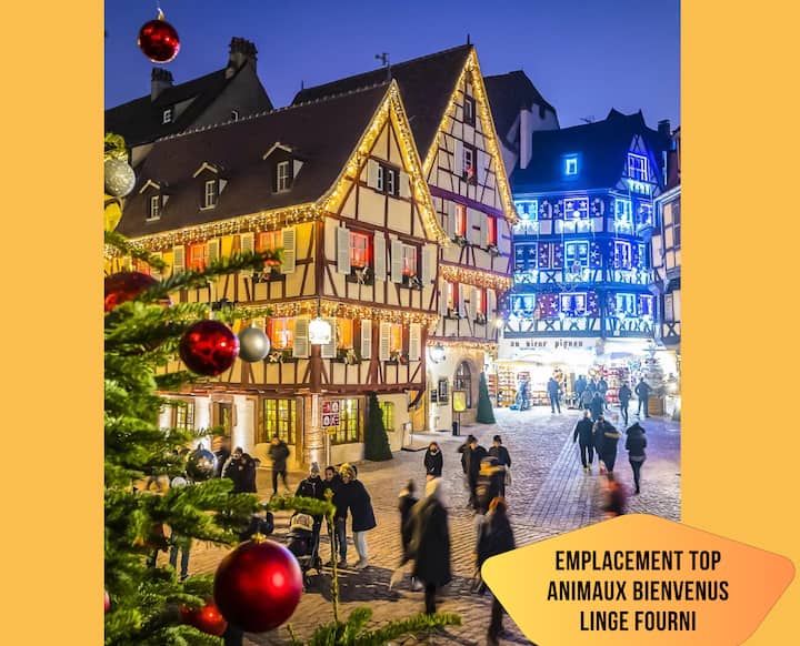 Maison Avec Jardin - 6 Personnes - Top Emplacement - Ribeauvillé