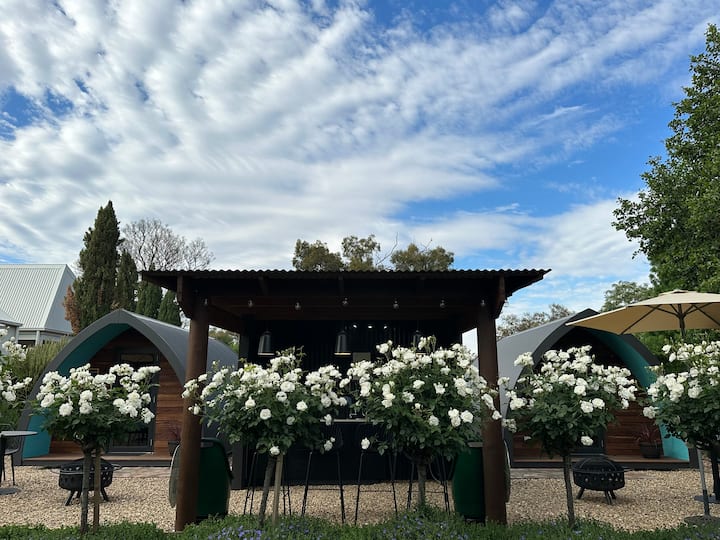 Jen's Garden Pods - One - Griffith