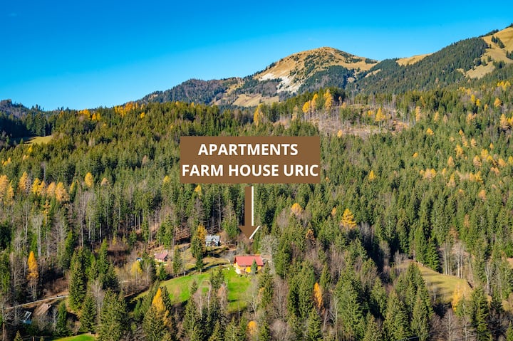 * Apartments Farm House Uric / Nature / Horses * - Bled