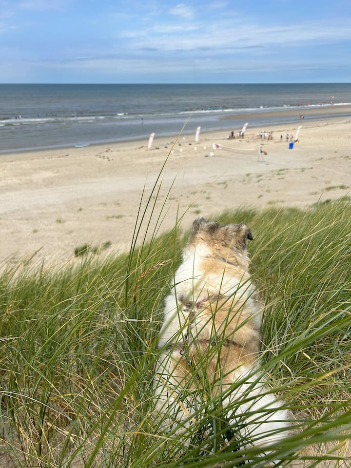 Ferienwohnung Für 5 Personen - Schoorl