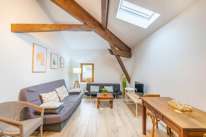 Acogedor Y Gran Apartamento Ideal Para Tu Descanso - Saint-Jean-Pied-de-Port