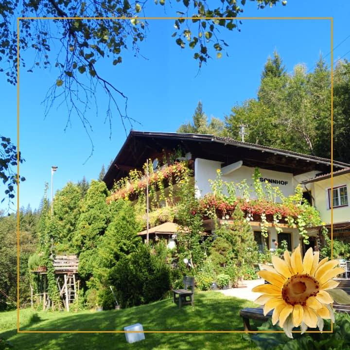 Salzburg - Berghostel- Sonnhof 6 - Flachau