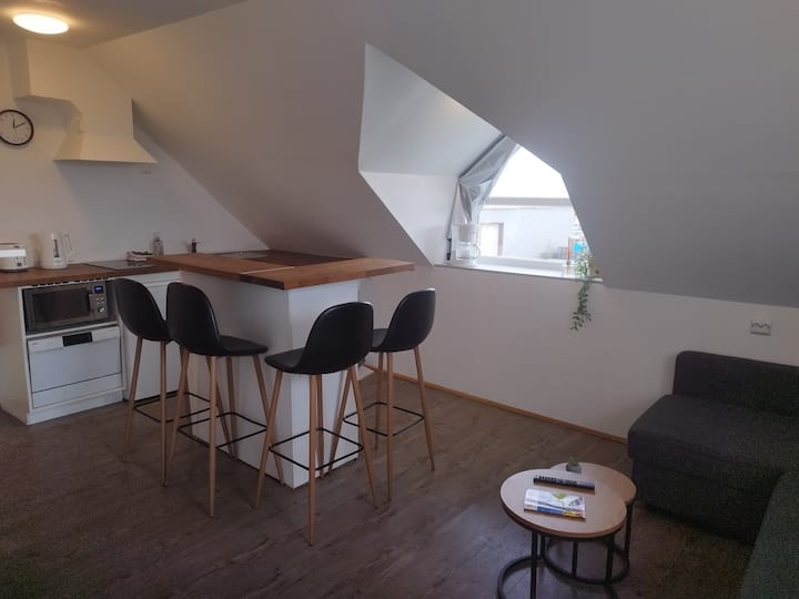 Studio Dans Maison D'hôtes - Iceland