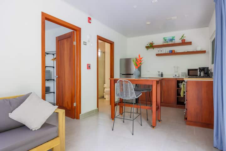 Coconut Office/apartamento 3 Con Piscina/coworking - Costa Rica
