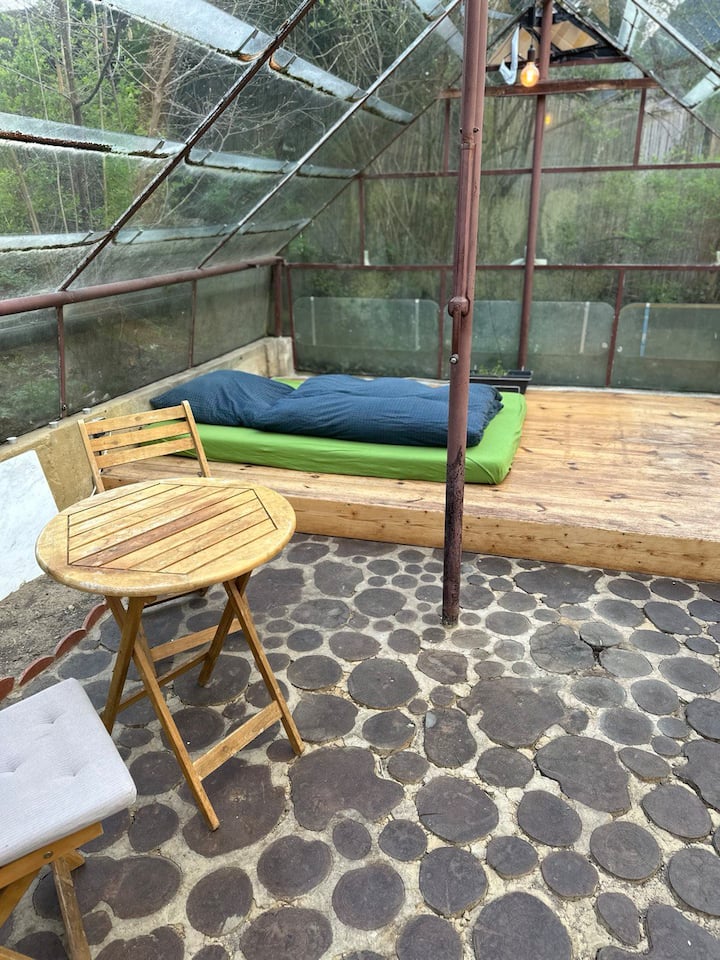 Unterm Sternenhimmel Im Glashaus Schlafen - Kleinmachnow